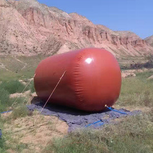 Buy Pvc Biogas Fermentation Digester Mini Home Biogas And Marsh Gas Bag ...