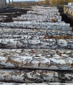 Buy Russian Birch Wood Logs Timber from State Autonomous institution of ...
