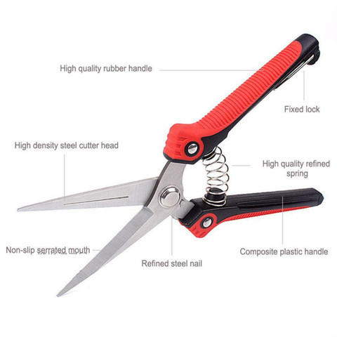 Buy Stainless Steel Grape Trimming Scissors Bypassing Shears Tijera De ...