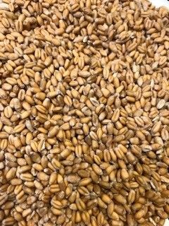 Buy Non-gmo Corn, Wheat And Rye from Horizon Grain & Milling, LLC., USA ...