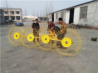 Buy 4-disc One-way Rake from Lianyi Environmental Technology (Dalian ...