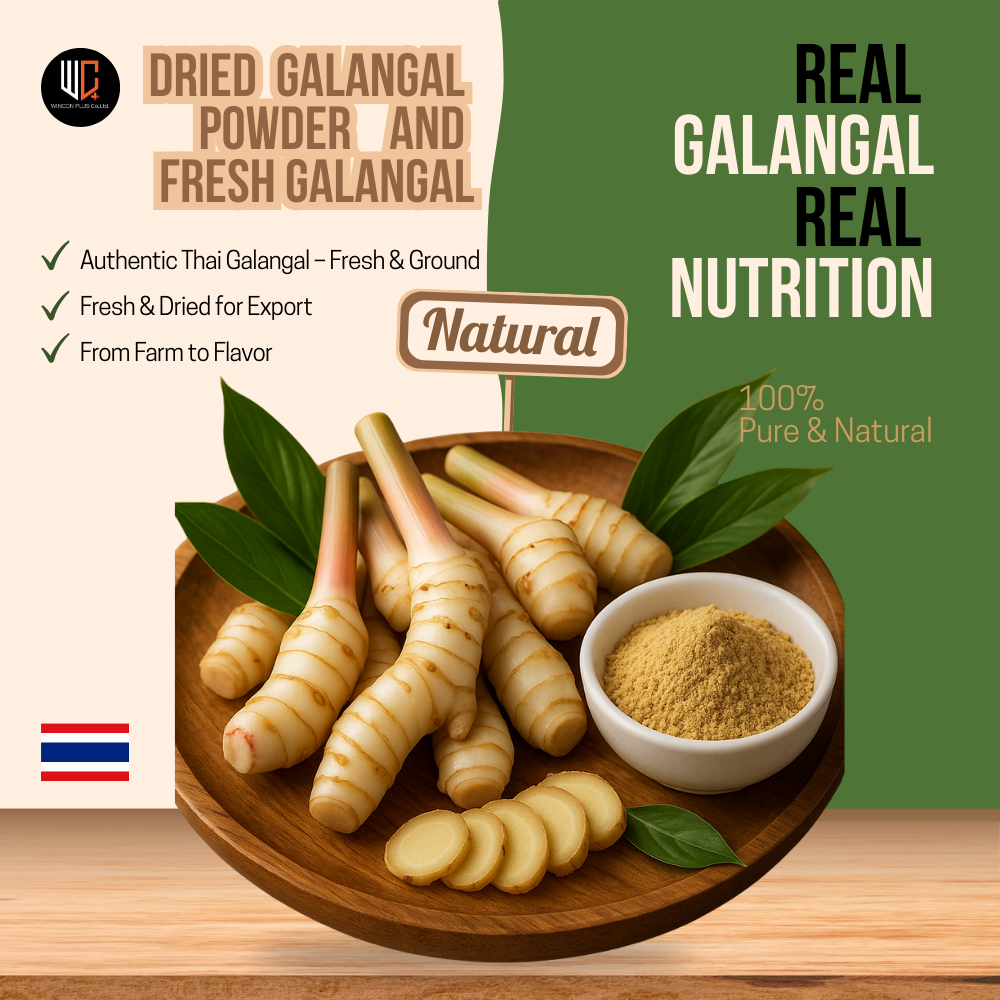 Buy Dried Galangal from Wincon Plus Ltd, Thailand | Tradewheel.com