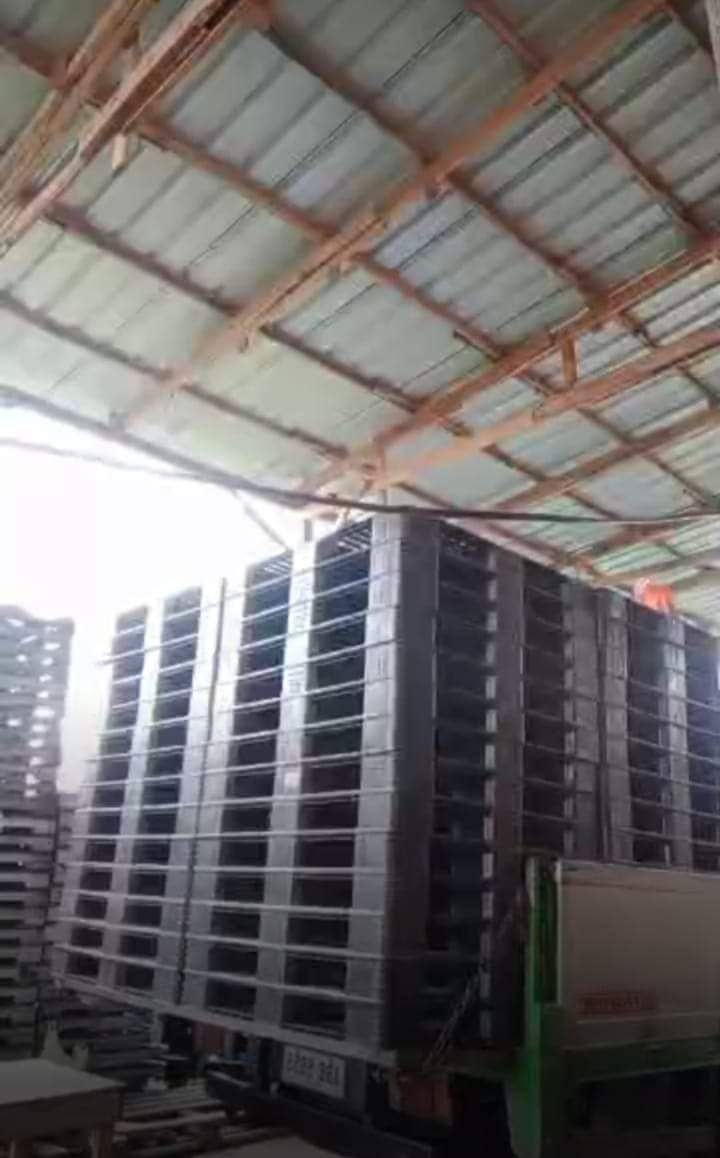Buy Plastic Pallets from E2O, Egypt | Tradewheel.com