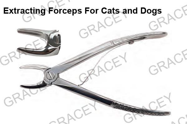 Buy Extracting Forceps For Small Animals = Gracey Products Co from ...