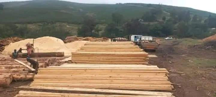Buy Timber/ Wood from Ronal Construction Supplies and Services ...