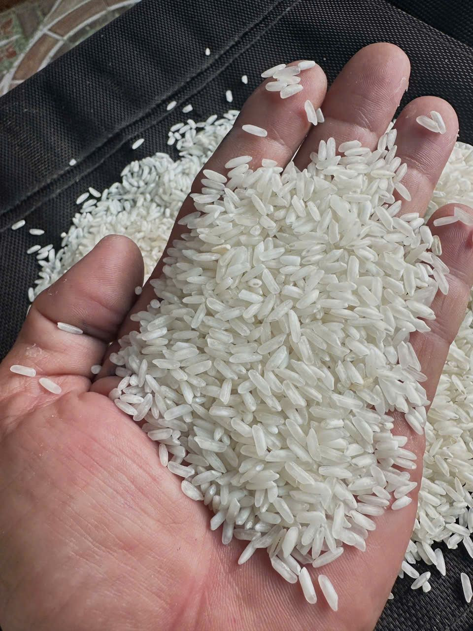 Buy 504 Rice from Tien Giang Rice Co., Ltd, Vietnam | Tradewheel.com
