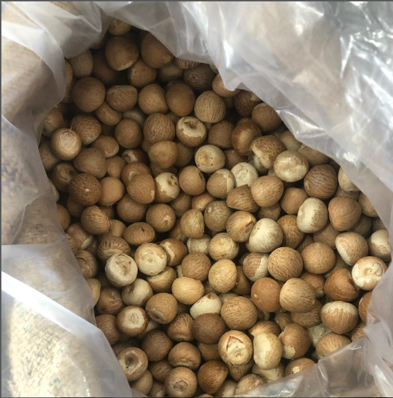 Buy Dried Betel Nuts / Betel Nuts / Slice Betel Nuts For Sale / Betel ...