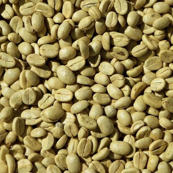 Buy Robusta Coffee from ng agro limited, Kenya | Tradewheel.com