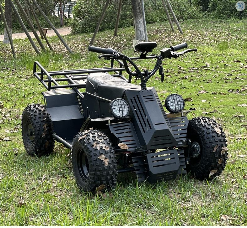 Buy All Terrain Four-wheel Drive Off-road Vehicle Atv Utv 60v from ...
