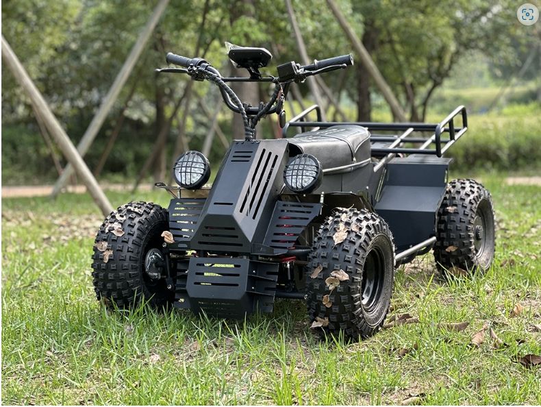 Buy All Terrain Four-wheel Drive Off-road Vehicle Atv Utv 60v from ...