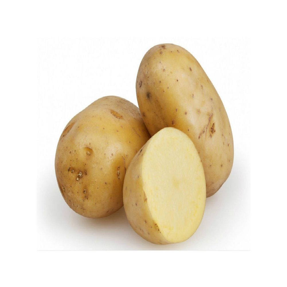 Buy Organic Fresh Potato from Afrivet Trading Services, South Africa ...