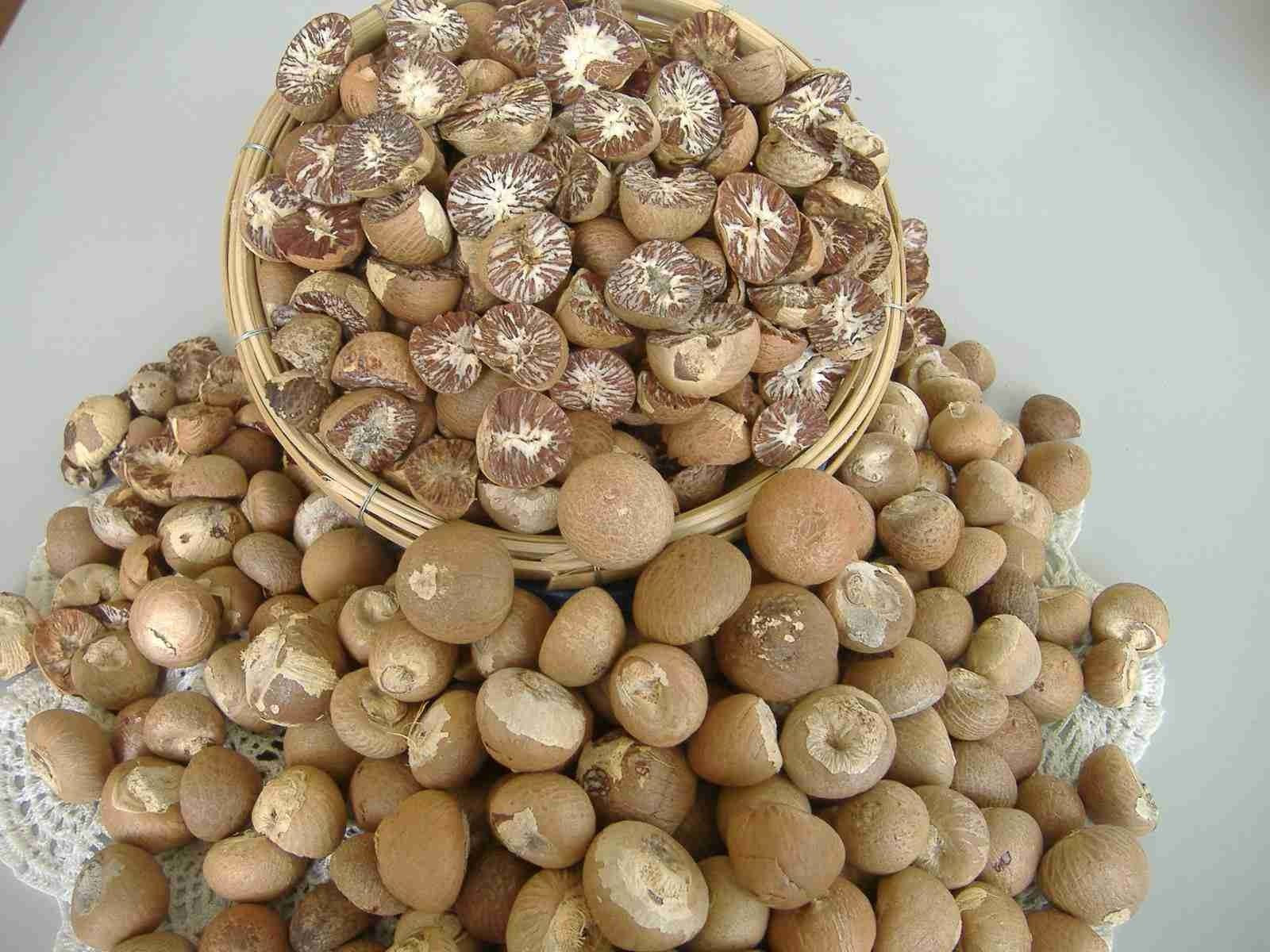 Buy Betel Nut Or Areca Nut Whole And Split from Erastimex Indoraya CV ...