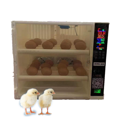 Buy 60 Eggs Auto Commercial Chick Brooder Incubator With Low Price from Anhui Regal Electronic ...