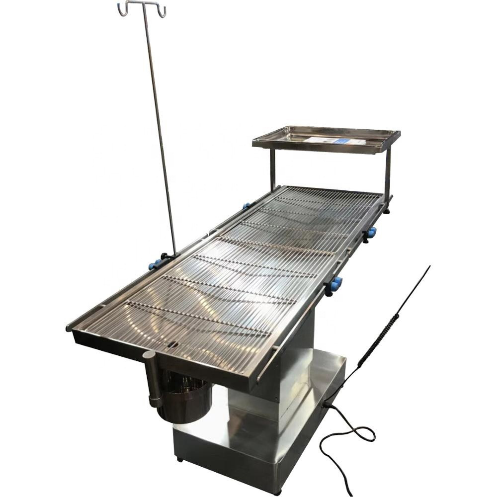 Buy Animal Veterinary Clinic 304 Stainless Steel Two-side Tilt Constant ...