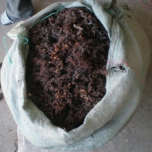 Buy Dried Sargassum Polycystum/ Sargassum Seaweed/ Sargassum ...