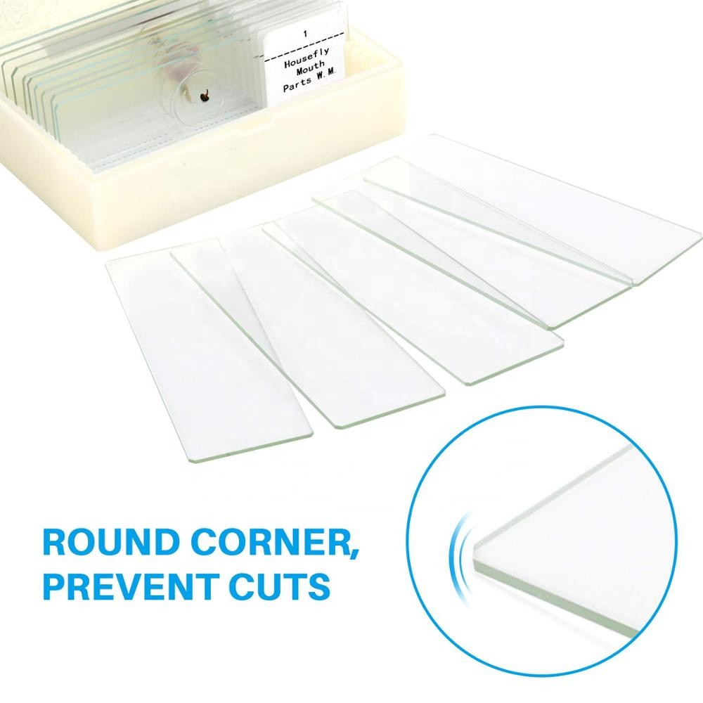 Buy Middle School Used Histology Glass Microscope Slides Microscope ...