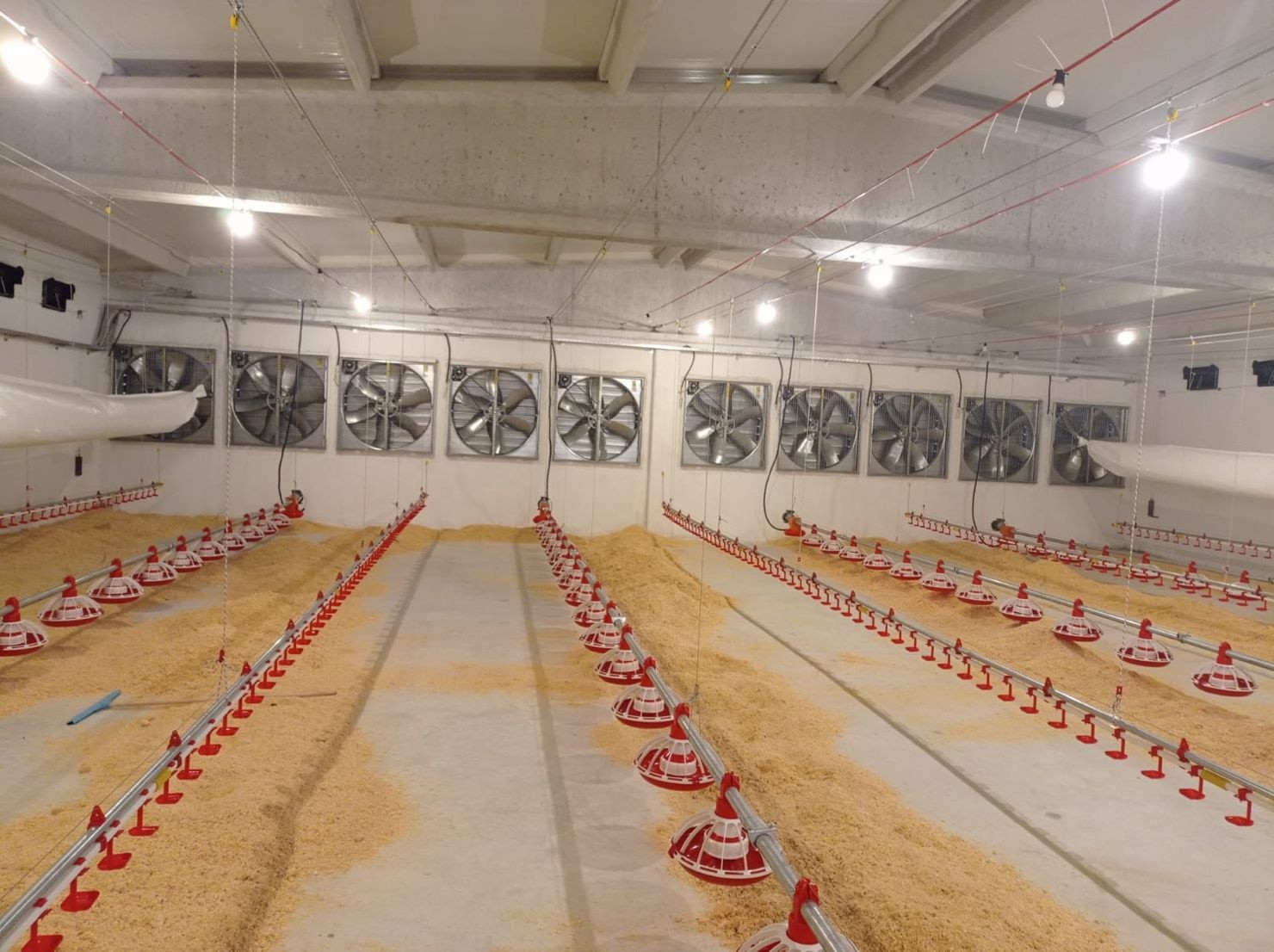 Buy Plastic Chicken Feeder Poultry Feed Line Of Product Chicken Poultry ...