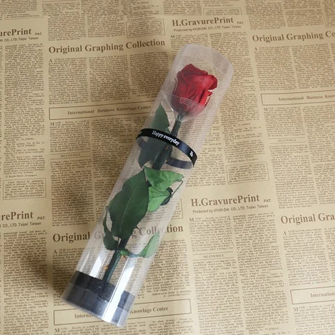 Buy Preserved Roses Flower With Long Stem Single Forever Rose For ...