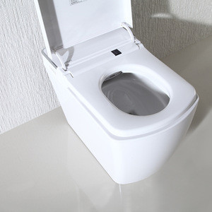 Buy Sanitary Wc Massage Water Spray One Piece Toilet With Jet Siphonic ...