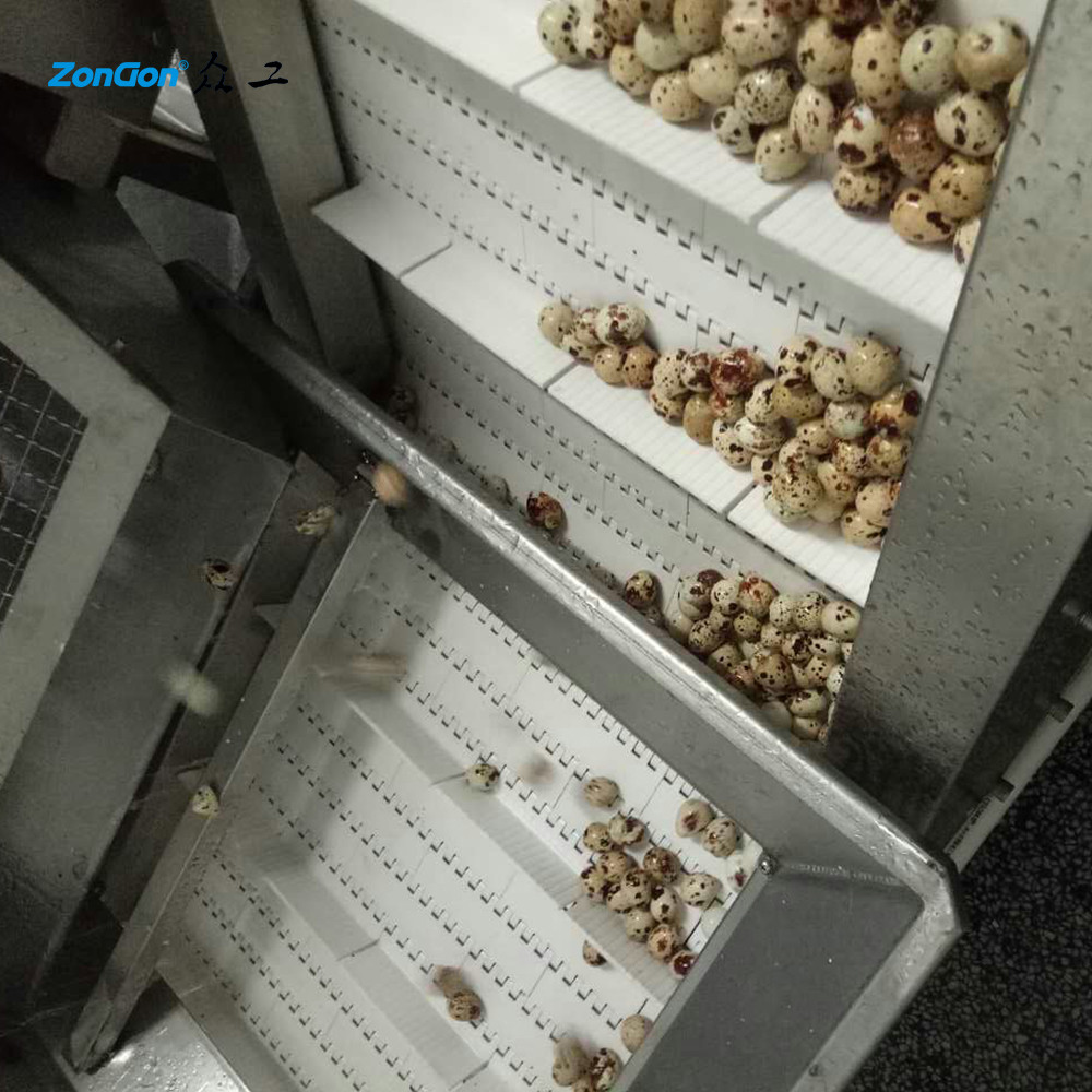 Buy Sus Stainless Steel Automatic Quail Egg Production Line from ...