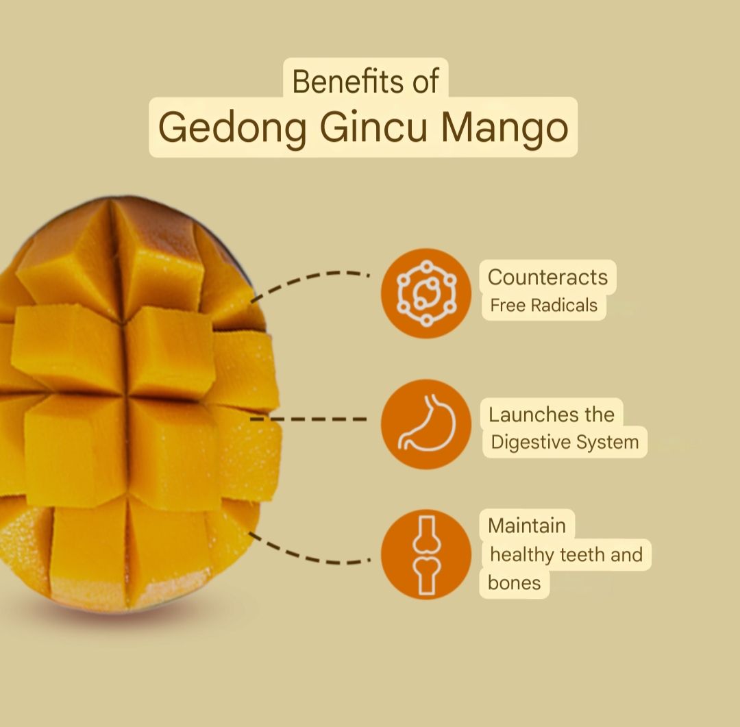 Buy Gedong Gincu Mango from Melcika Group, Indonesia | Tradewheel.com