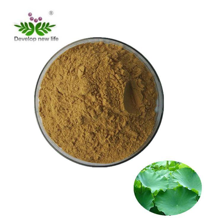Buy Lotus Leaf Extract from Xi'an DN Biology Co.,Ltd, China ...