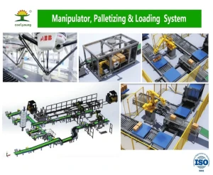 Buy Palletizing & Loading System from Coolyoung Industry, China ...