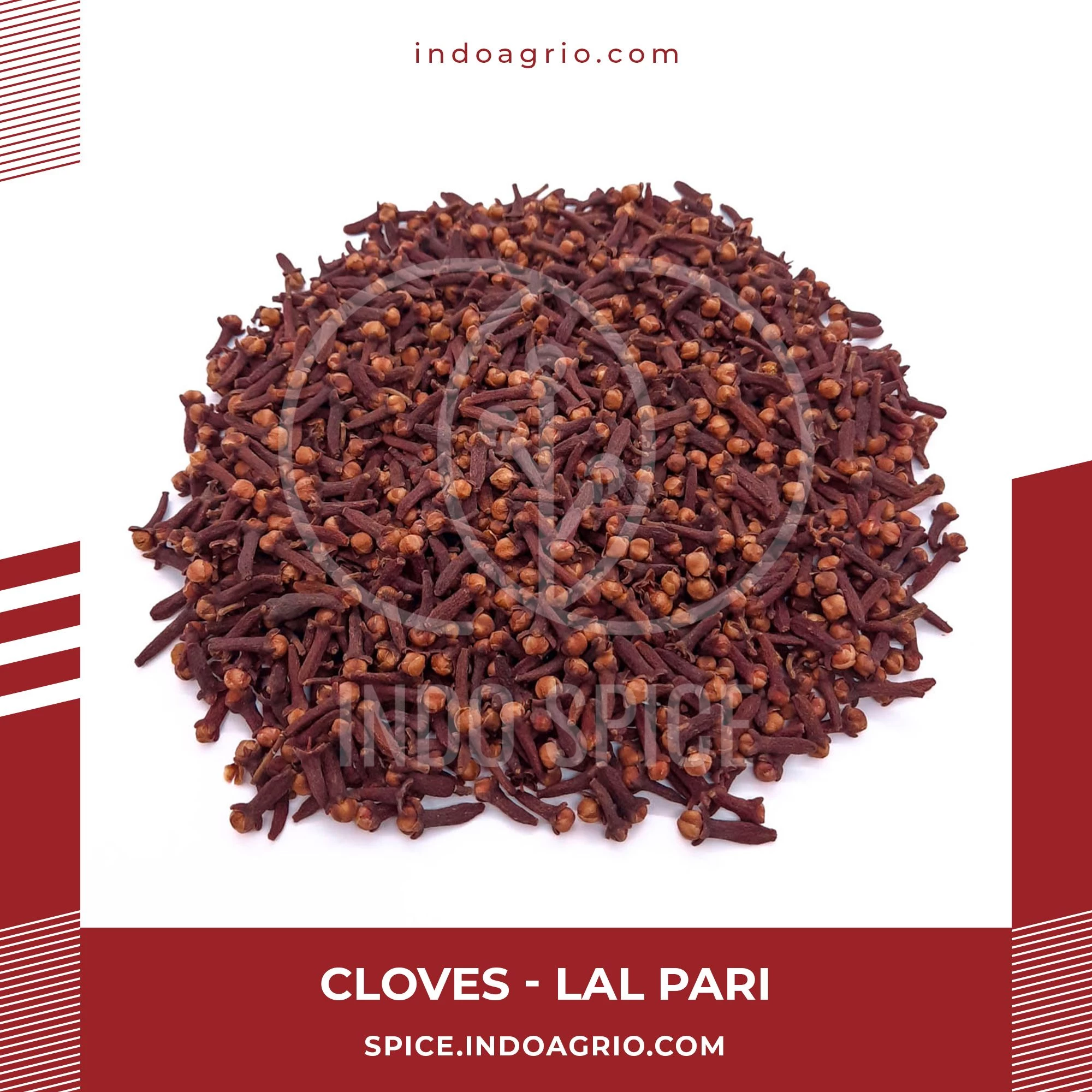 Buy Dried Whole Cloves - Indonesian Premium Spices Ab6 Lal Pari ...