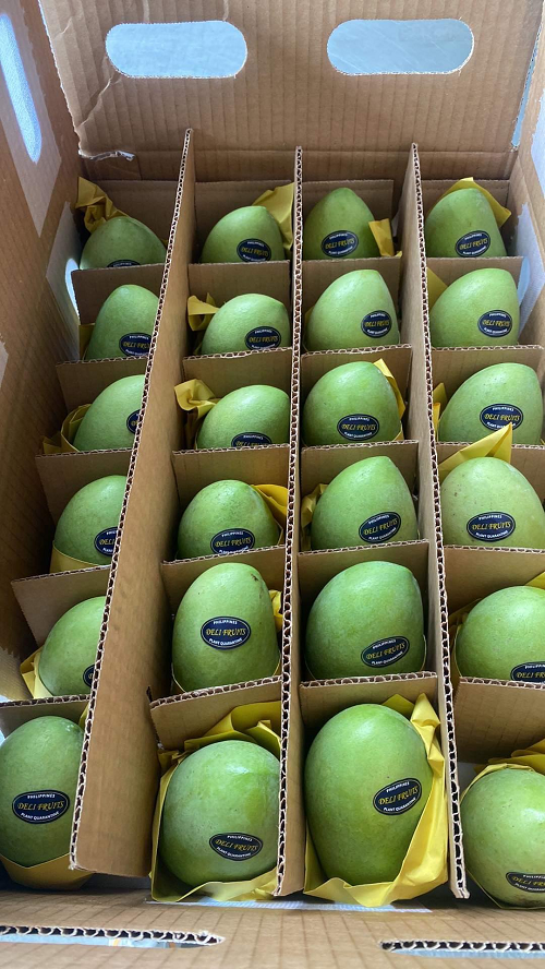 Buy Mangoes, Fresh Fruits from ALYANNAH FRUITS TRADING, Philippines ...
