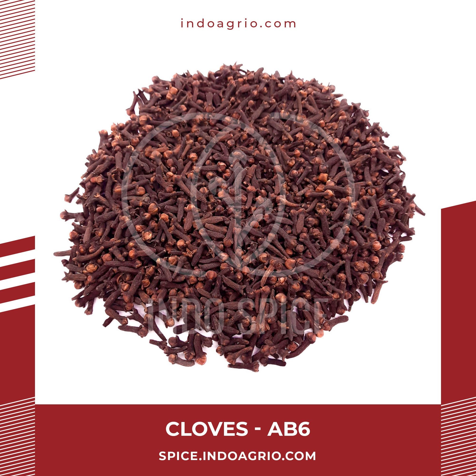 Buy Dried Whole Cloves - Indonesian Premium Spices Ab6 Lal Pari ...