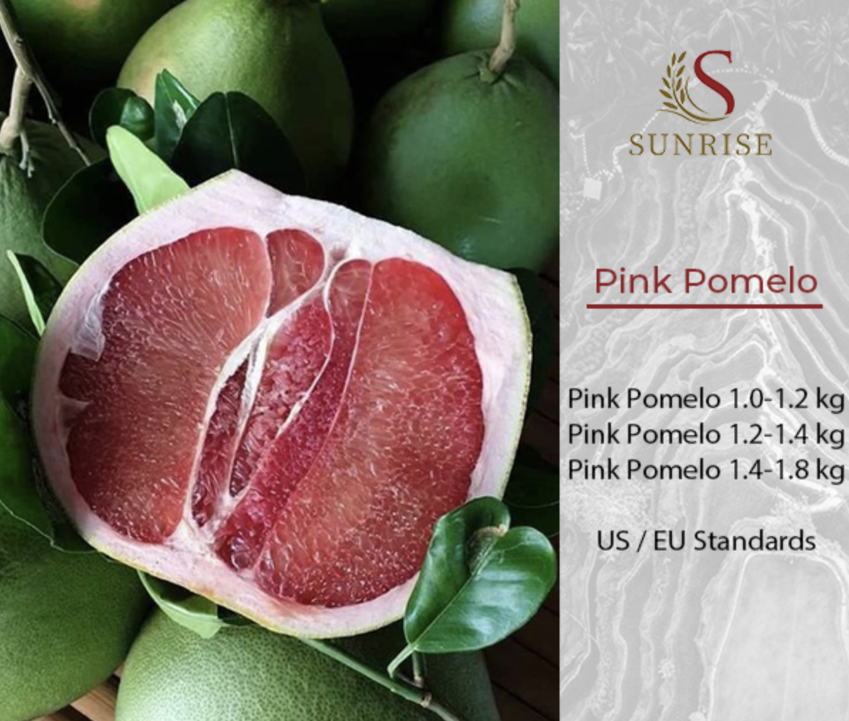 Buy Pink Pomelo from Sunrise Ins Vietnam, Vietnam | Tradewheel.com