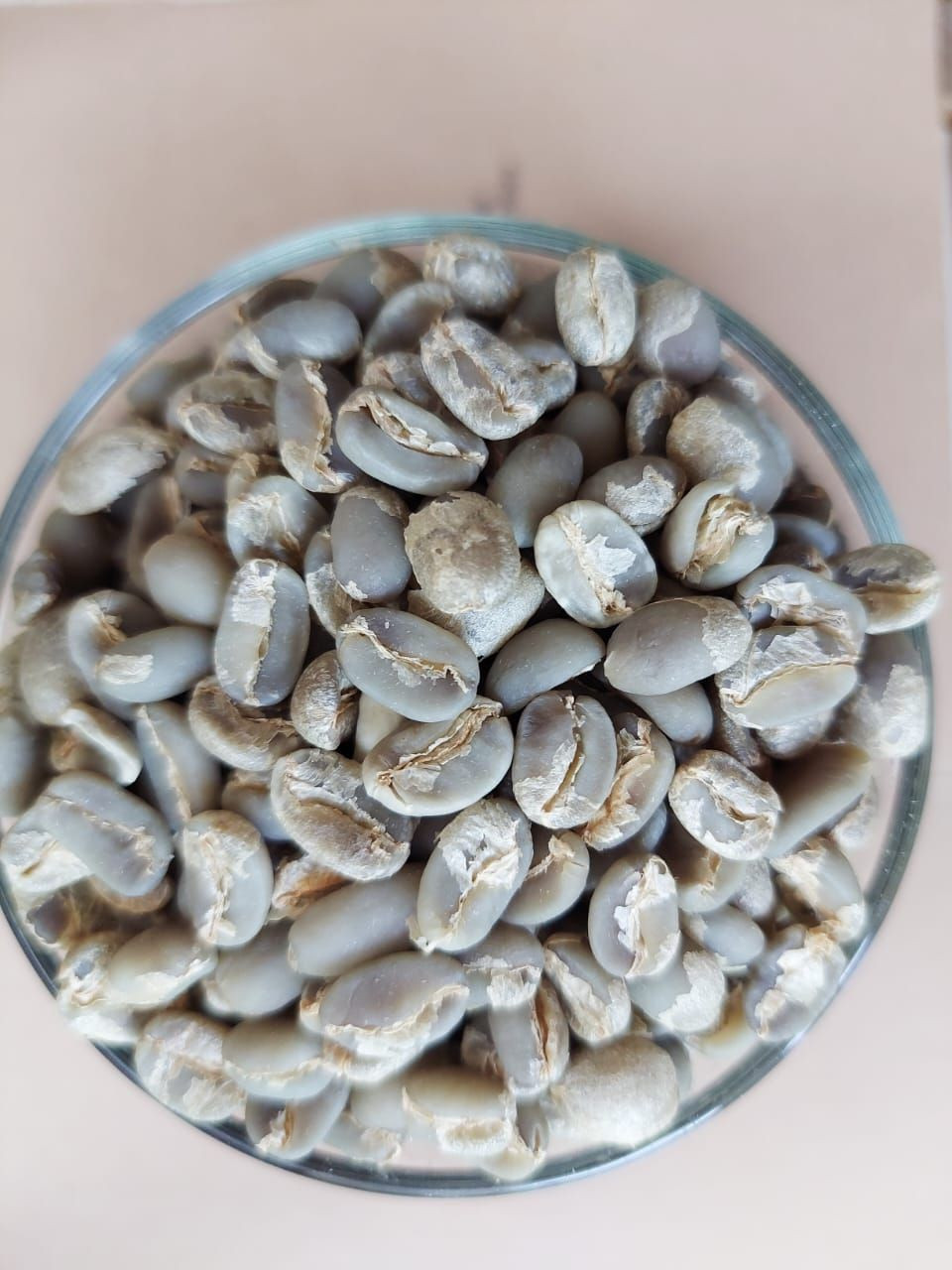 Buy Arabica Coffee Beans Papua Highland from PAPUA GLOBAL NUSANTARA ...