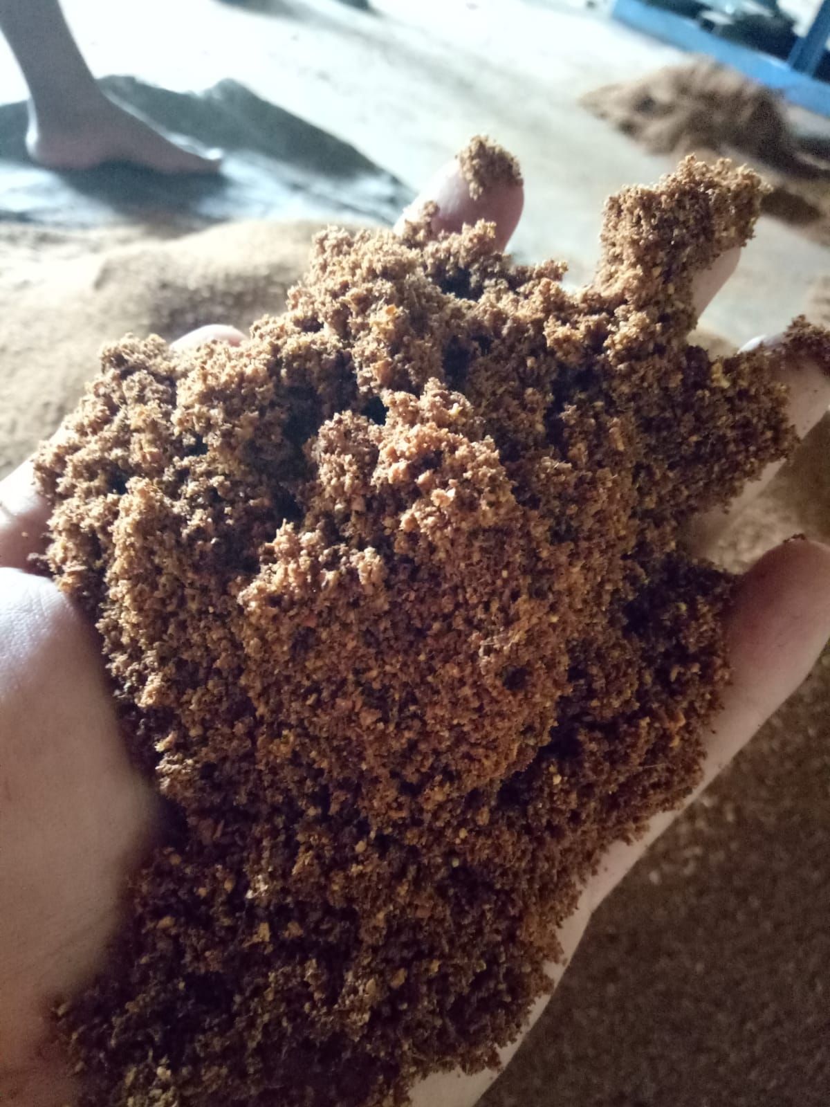 Buy Coir Pith / Coconut Dust / Coconut Waste Powder Polybag from CV ...