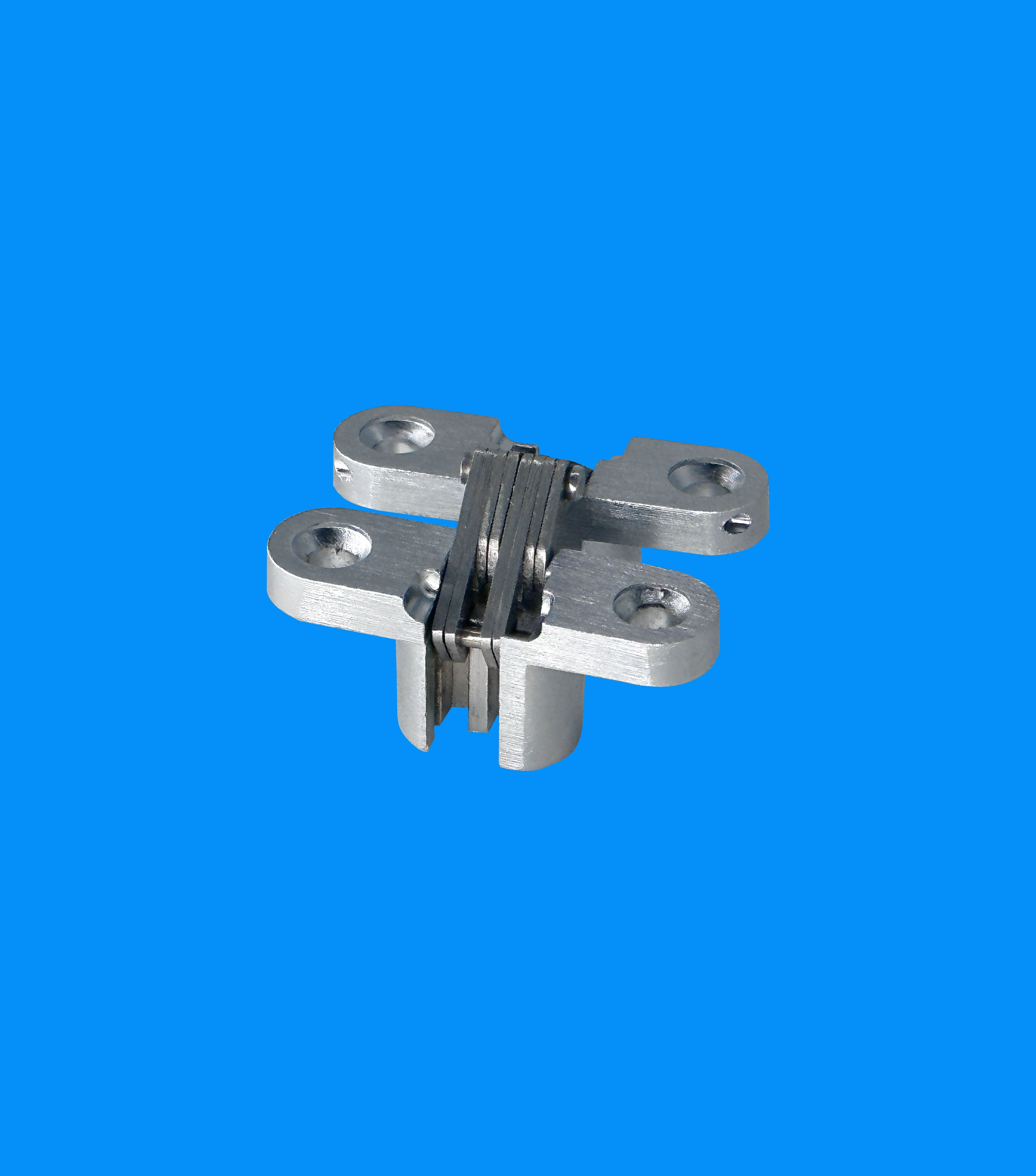 Buy Invisible Cross Hinge from Ruixida Hardware Products Factory, China ...