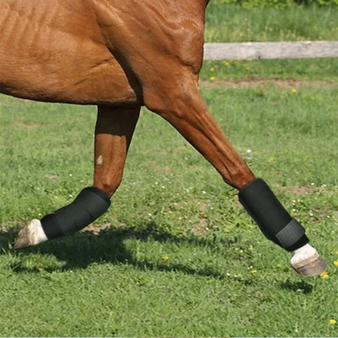 Buy Horse Leg Wraps For Horse Riding Care Equestrian Safety Neoprene ...