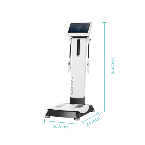 Buy Hot Sale Portable Body Composition Analyzer Body Fat Analyzer from ...