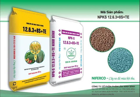 Buy Npk 12.6.3-8+te Fertilizer Compound Npk Top Sale Fertility ...