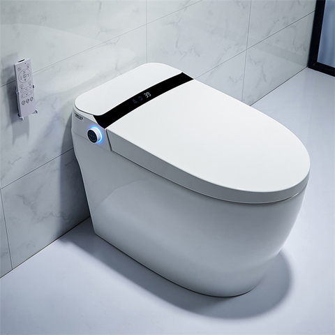 Buy Sanitary Ware Western Europe Floor Mounted S-trap Inodoro Automatic ...