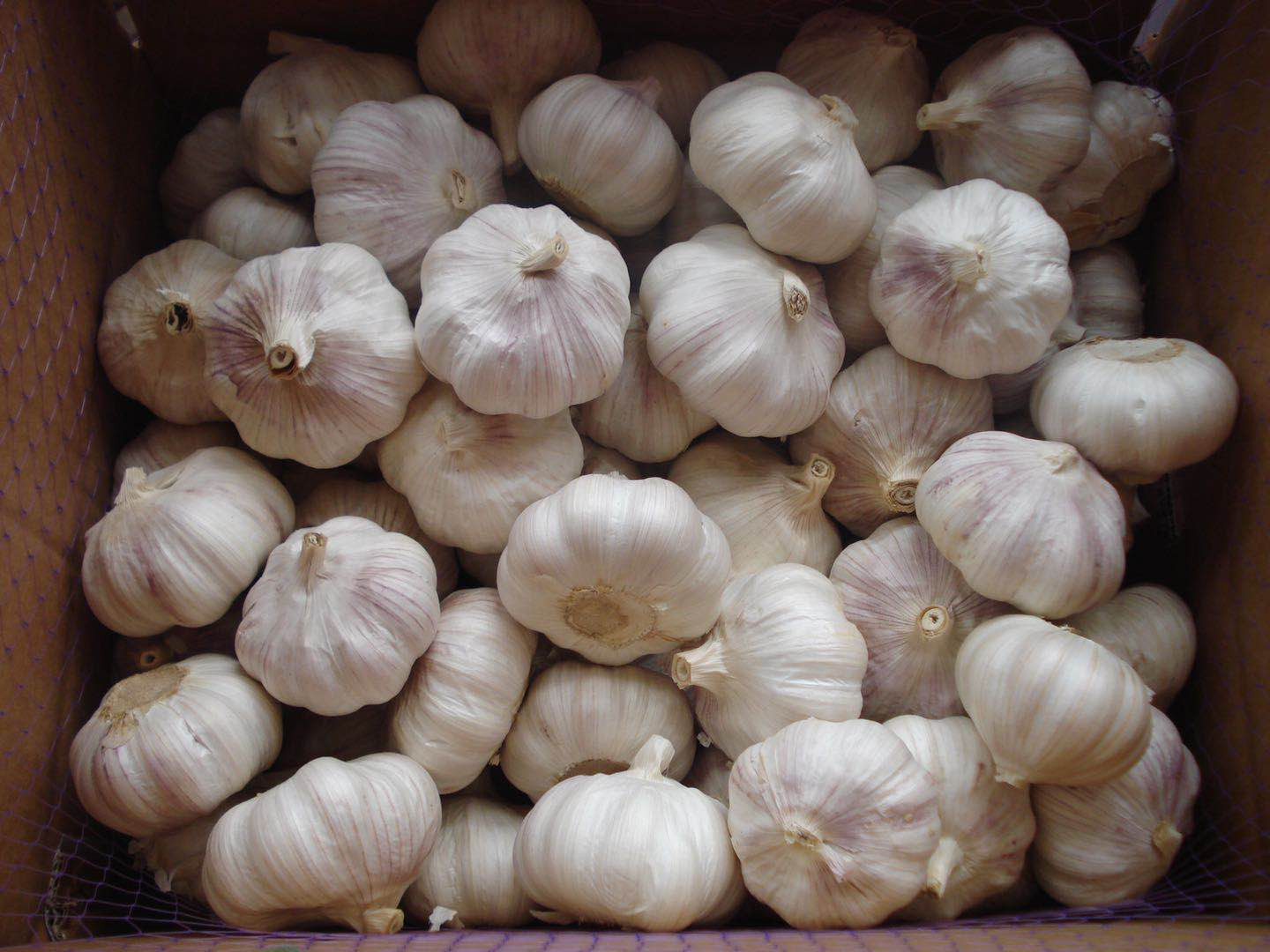 Buy Wholesale Garlic 2020 Crop From China from Shandong Shuifa Jinqiao ...