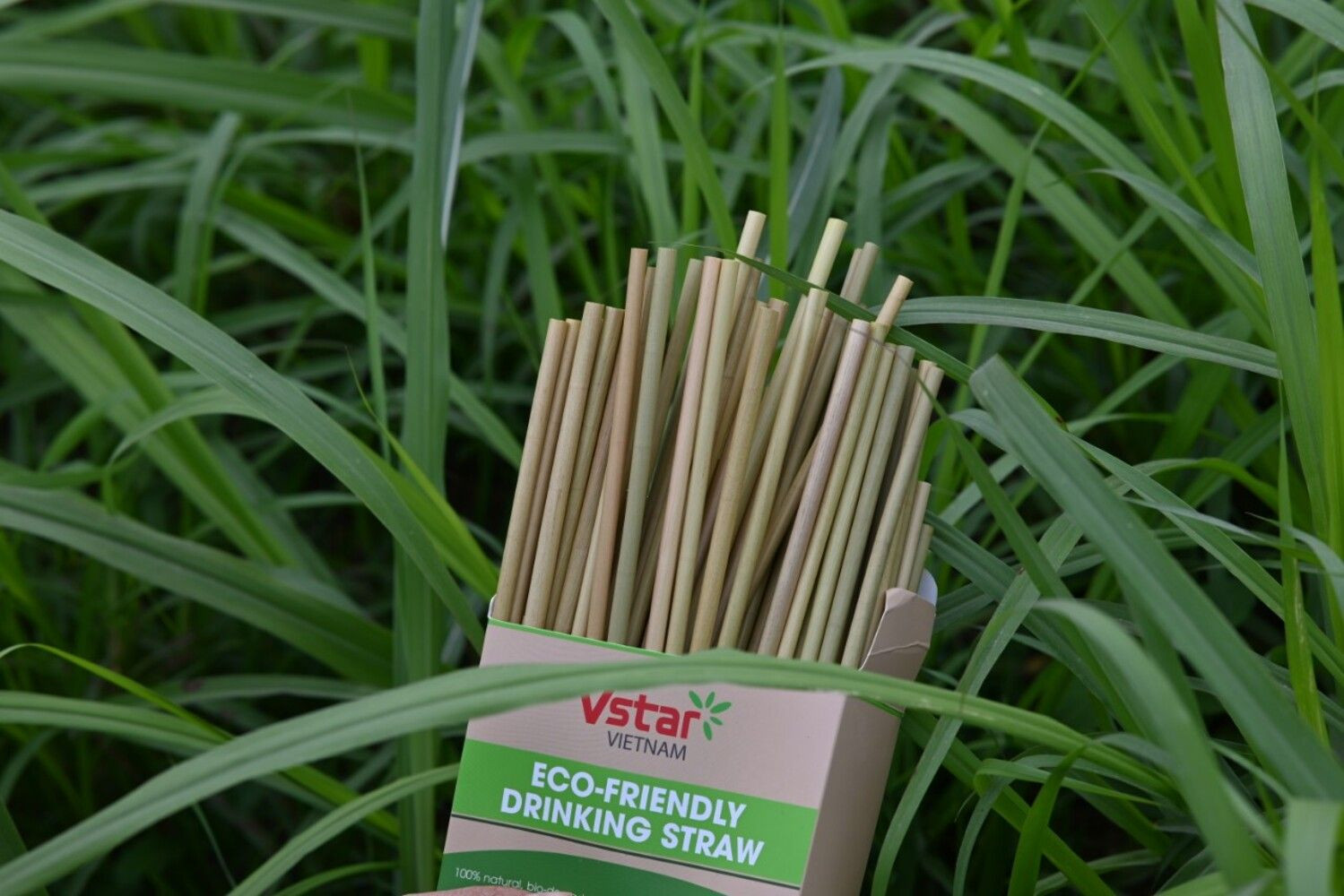 Buy Vietnam's Biodegradable Natural Tableware -natural Straws, Bamboo ...