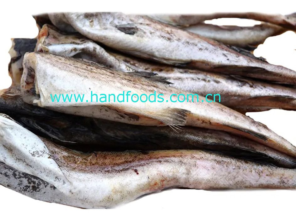 Buy Pollock from Hand Foods (Dalian) Co., Ltd., China | Tradewheel.com