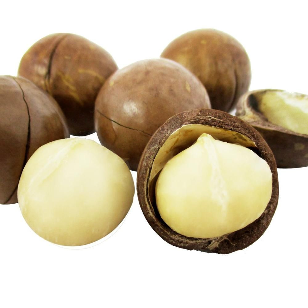 Buy Pure Macadamia Nuts Bulk Packaging Natural Macadamia Nuts Fresh ...