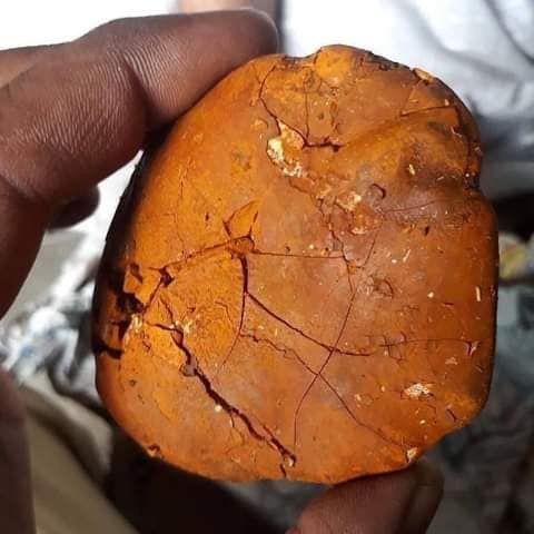 Buy Ox Gallstones Cattle Gallstones Cow from MOSS MEKUS VENTURES (PTY ...