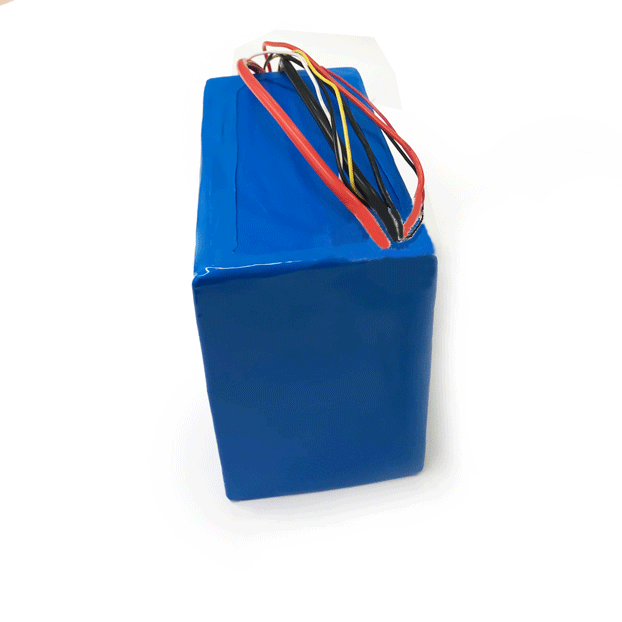 Buy Robot Lithium Ion Battery Pack With Bms from PACE ELECTRONICS TECH ...