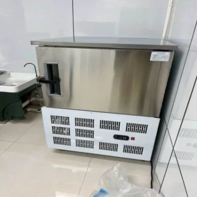 Buy Commercial Cold Chiller Cold Room Kitchen Fridge Refrigerator Non ...