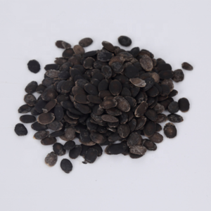 Buy Hybrid F1 Towel Gourd Seeds/luffa Seeds/loofah Seeds For Growing ...