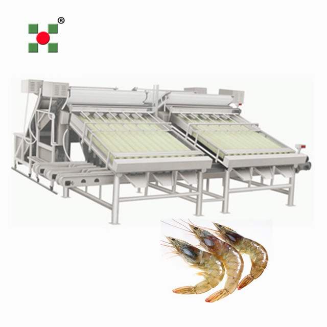 Buy Industrial Prawns Processing Grading Equipment/shrimp Grading ...