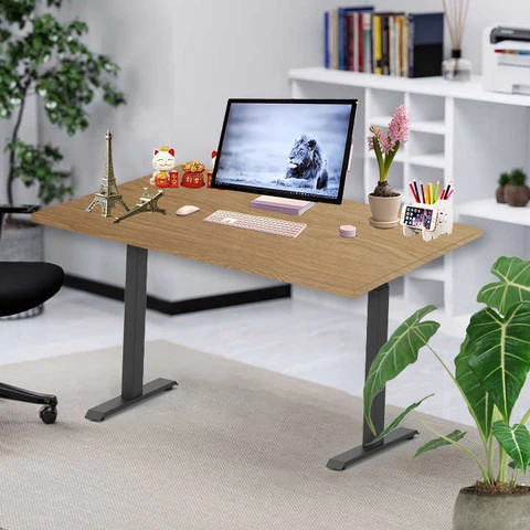 Buy Modern Dual Motor Electric Lift Computer Desk Office Furniture With ...