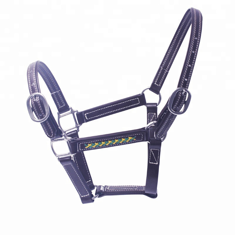 Buy New Collection Horse Nylon Halter Horse Nylon Halter Multi Color ...