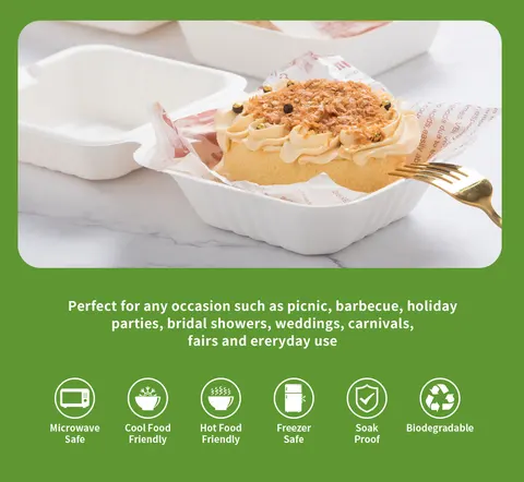 Buy Oasis 450ml 6 Inch Biodegradable & Compostable Sugarcane Bagasse ...